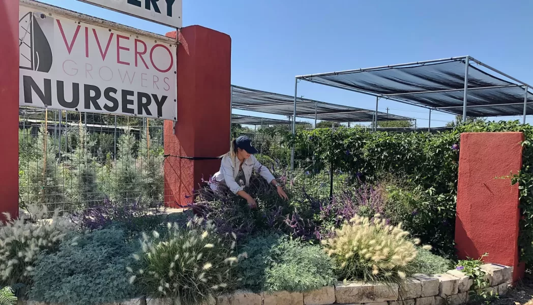 Vivero Growers Plant Nursery